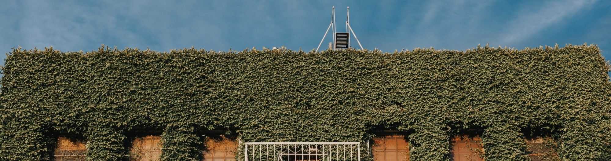 How the BTR Industry can Minimise Carbon Footprint by Reducing Parcel ...